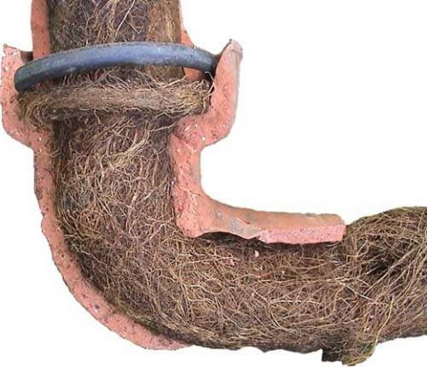 Dr Drains Canberra Emergency Plumber/Plumbing: We Fixed Blocked Drains